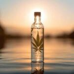 Hemp Water Bottles: Sustainability and Health Benefits - Nano Hemp Tech ...
