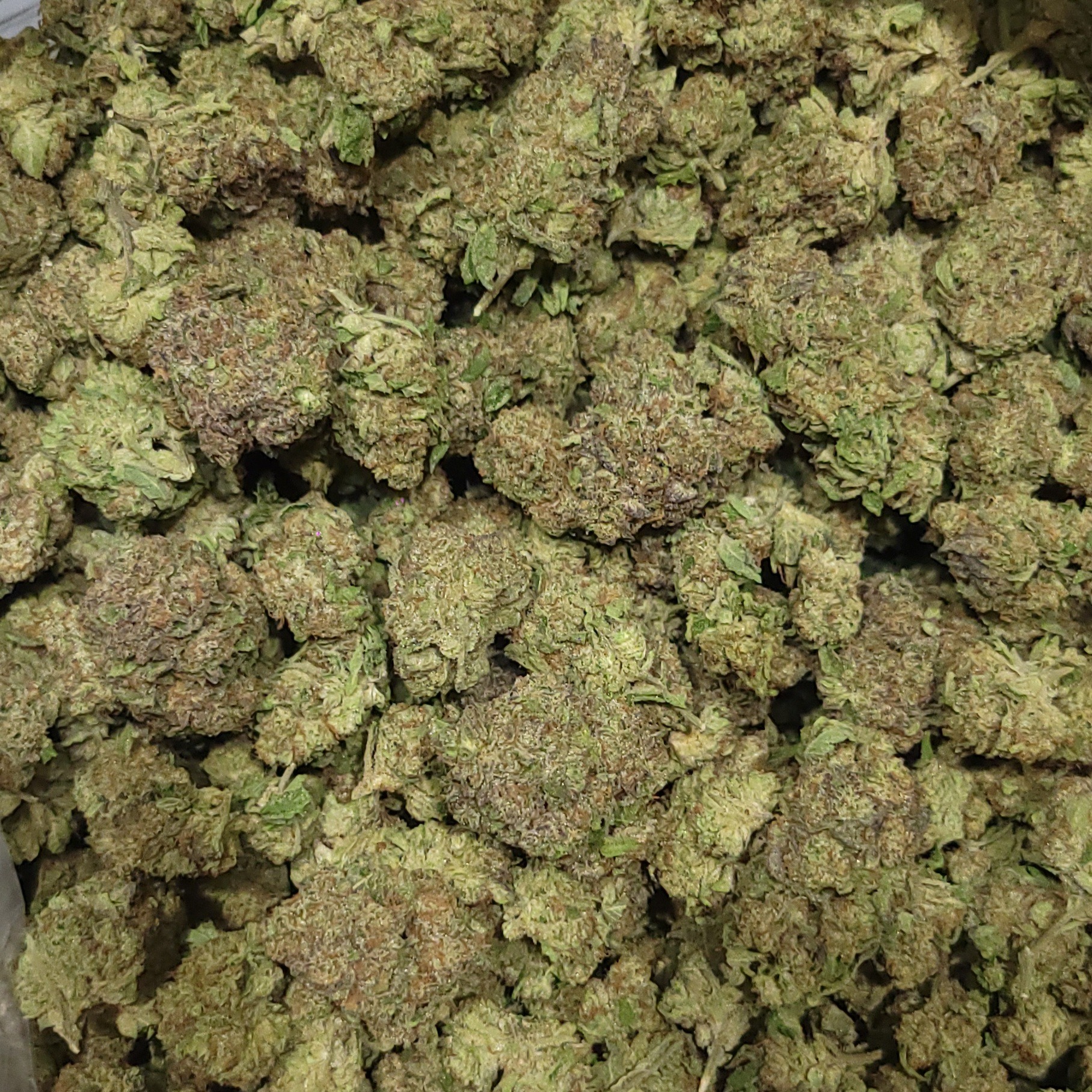 First-Timer's Guide to THCA Flower: Unlocking Potency Without the ...